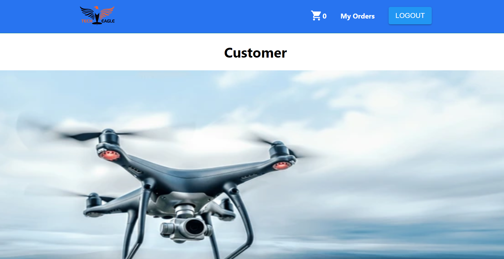 Pallavee Kumari | Portfolio